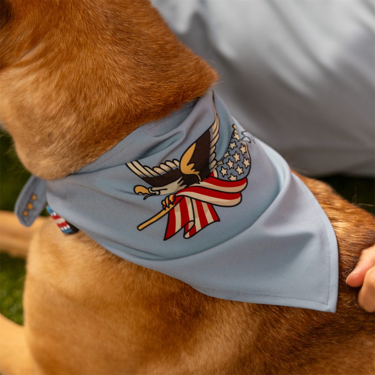 Americana Accessories